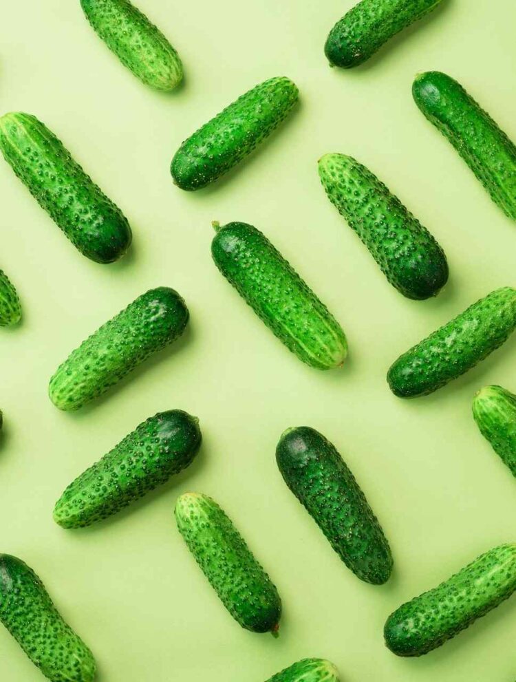 Cucumber Chocolate Bread Recipe | Glutenfreeindian