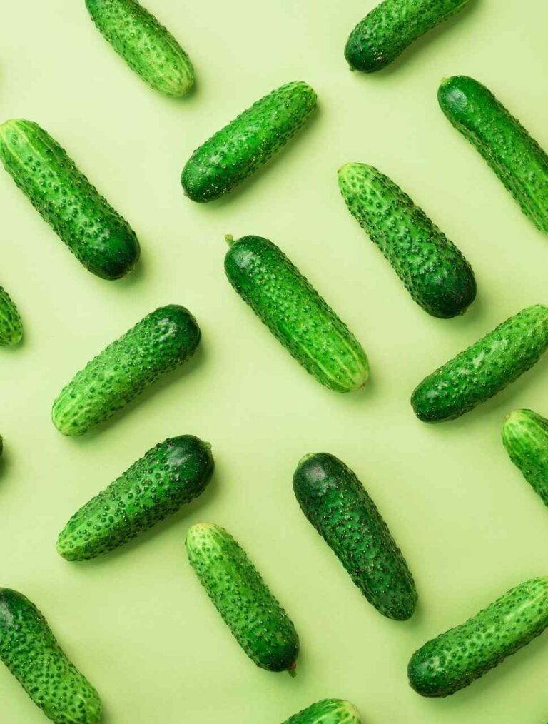 Cucumber Chocolate Bread Recipe | Glutenfreeindian